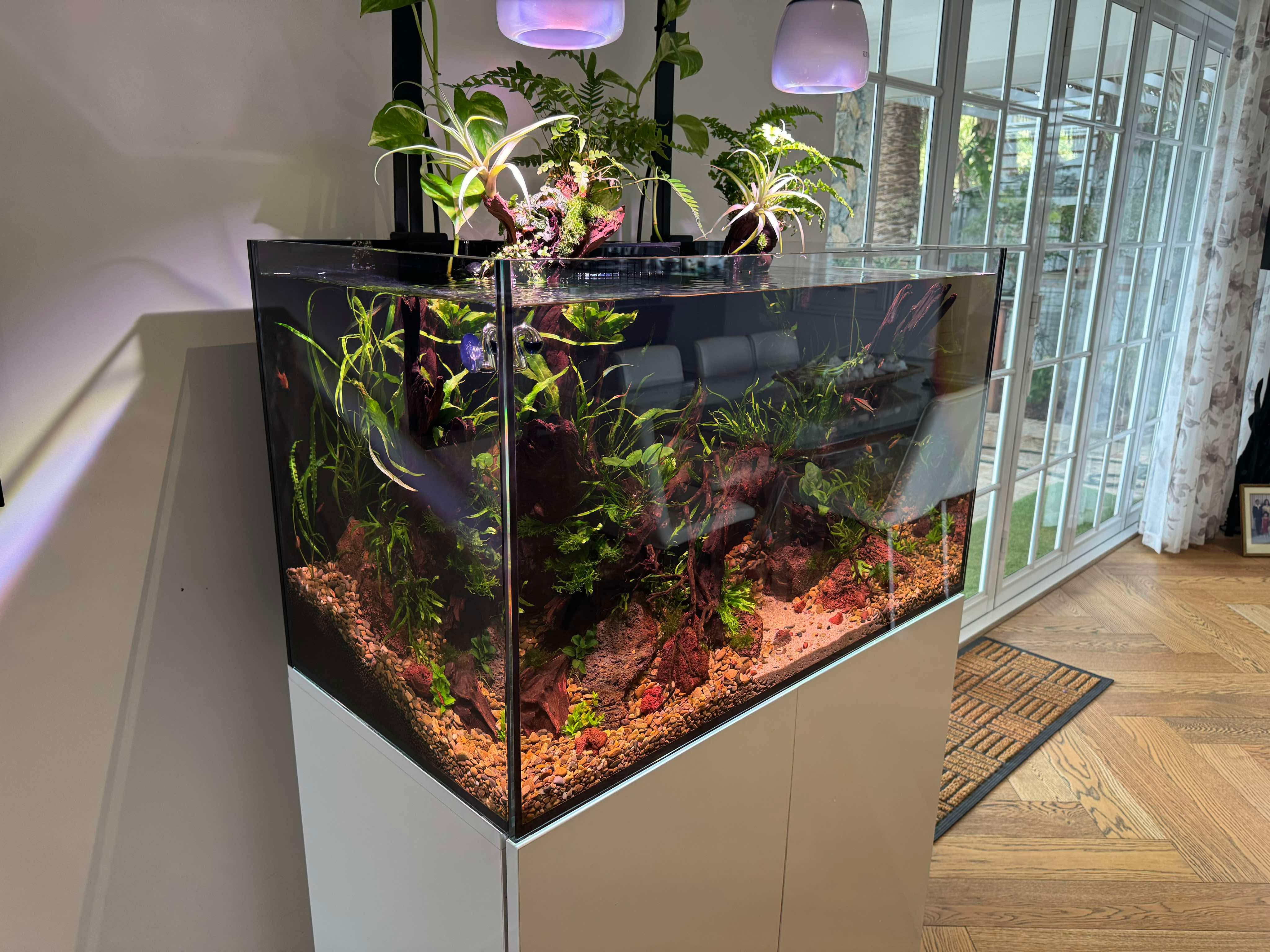 Aquotix Aquariums - Gallery